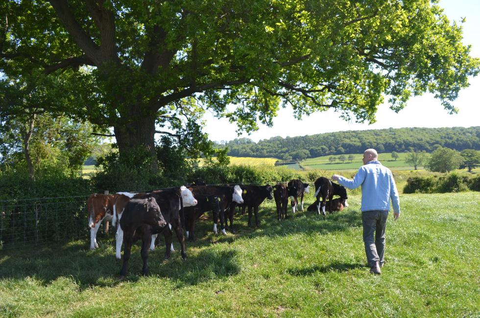 Join this year's Prince's Farm Resilience Programme