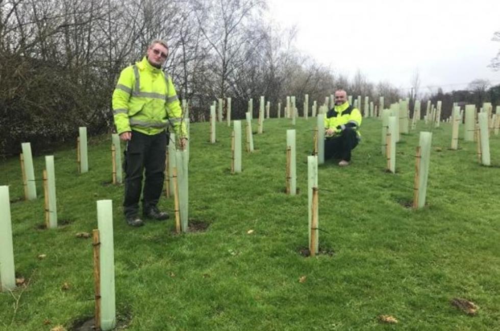 Trees for Cities wins NHS Forest Award