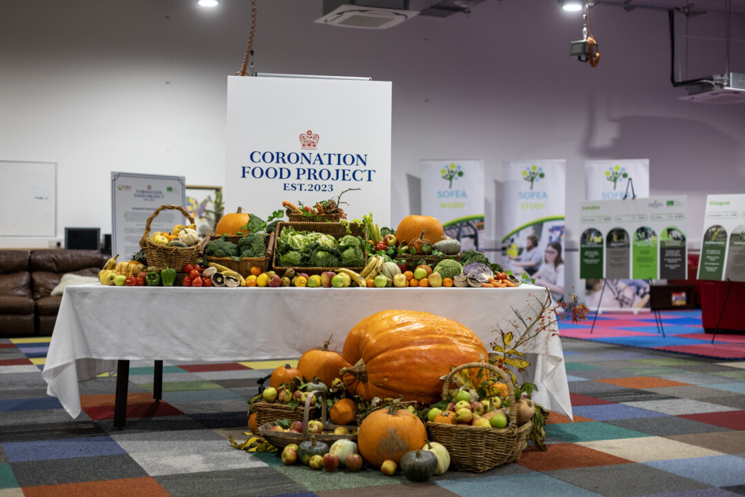 New funding for the Coronation Food Project in Merseyside and North ...